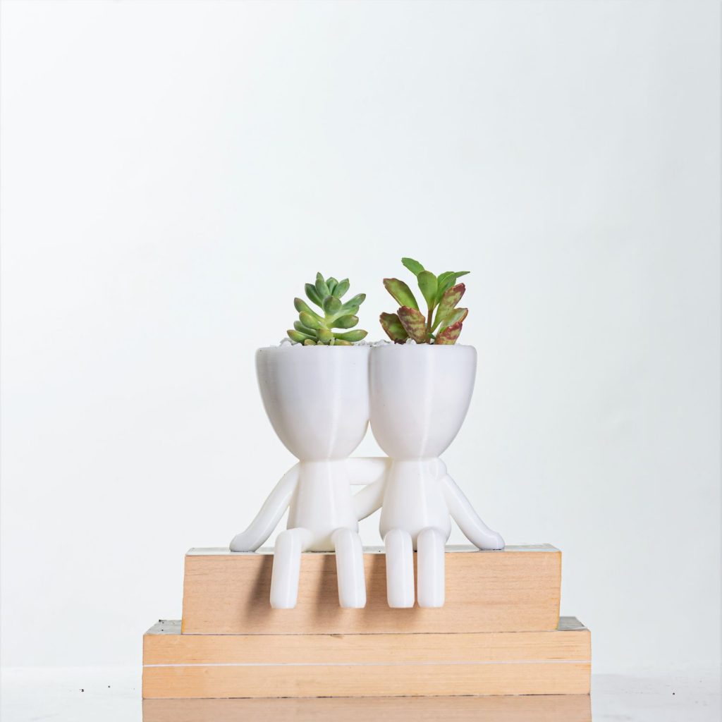 Zen Planter Collection - Royal Art